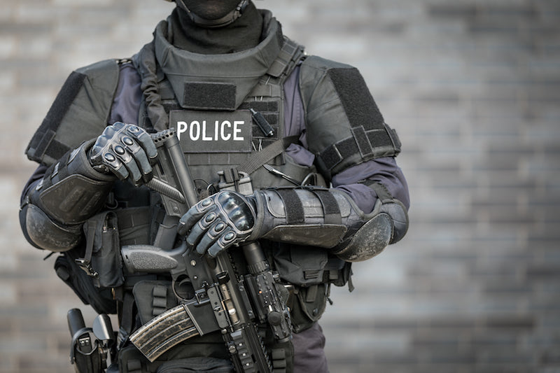 Warrior Mindset: 8 Elements of Tactical Performance – Triumph Systems
